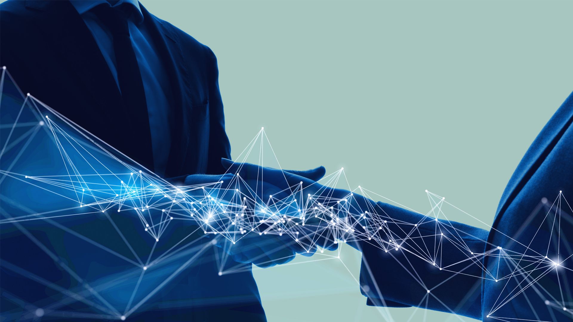 Asset Integrity, Software, Safety and Risk Management